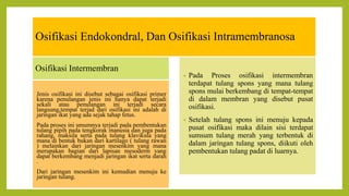 TULANG.pptx
