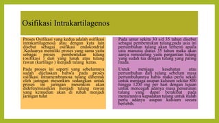 TULANG.pptx