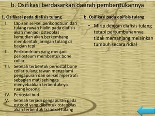 TULANG DAN RANGKA | PPTX