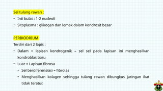 Tulang dan Tulang Rawan Klp 2 (EDIT).pptx