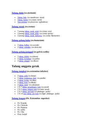Tulang '' os '' | DOCX