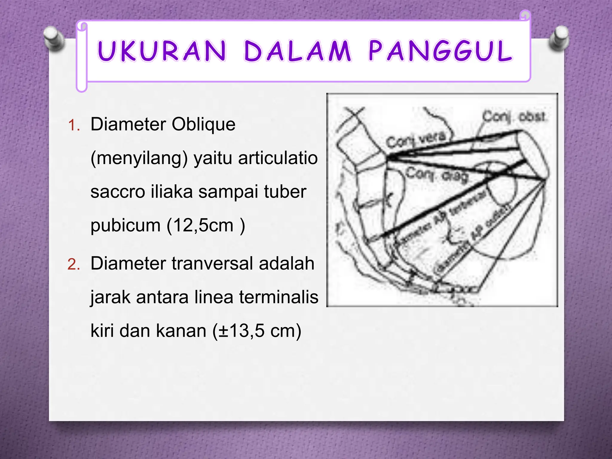 anatomi_Tulang_Panggul_wanita__pptx.pptx