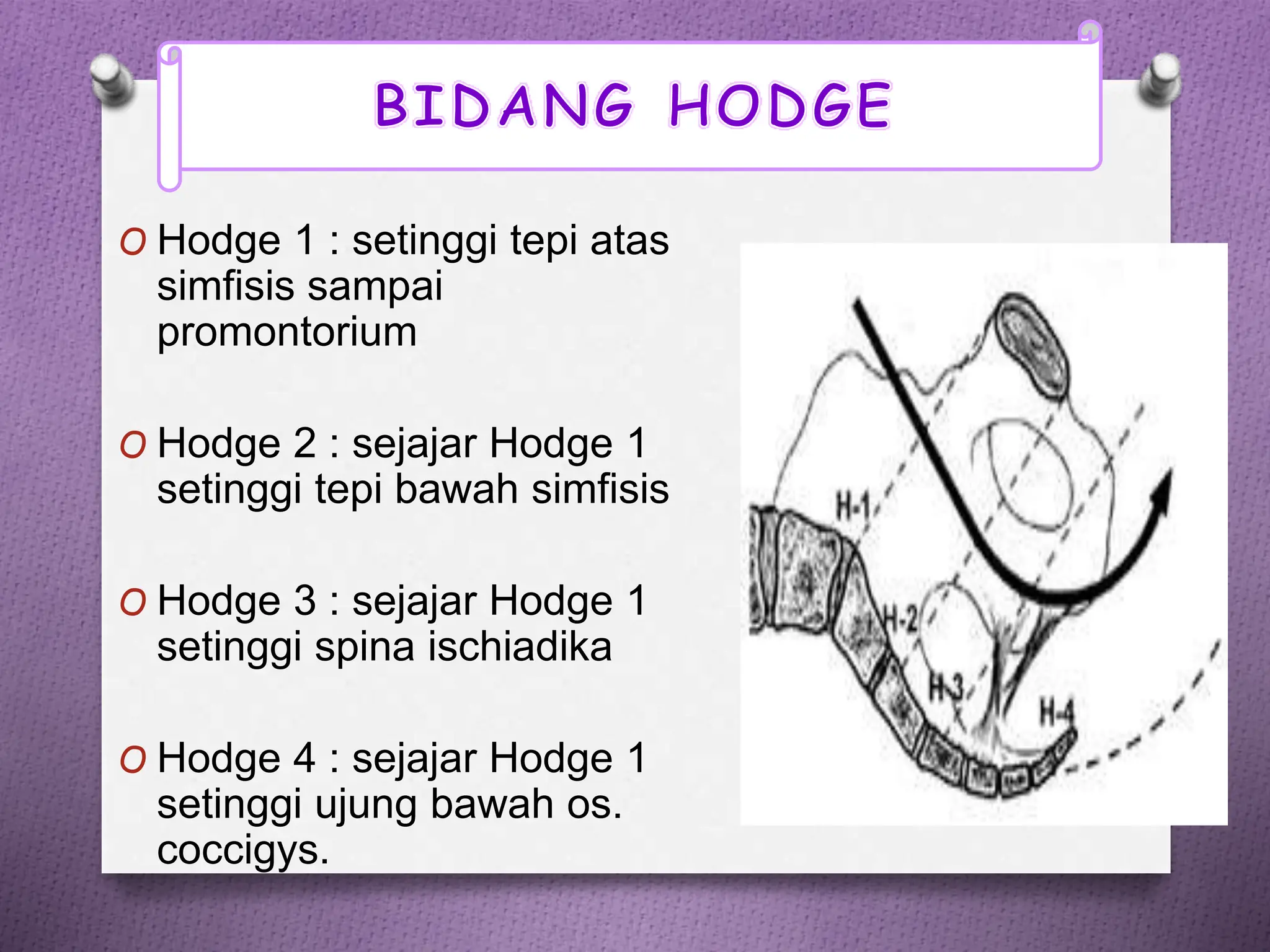 anatomi_Tulang_Panggul_wanita__pptx.pptx