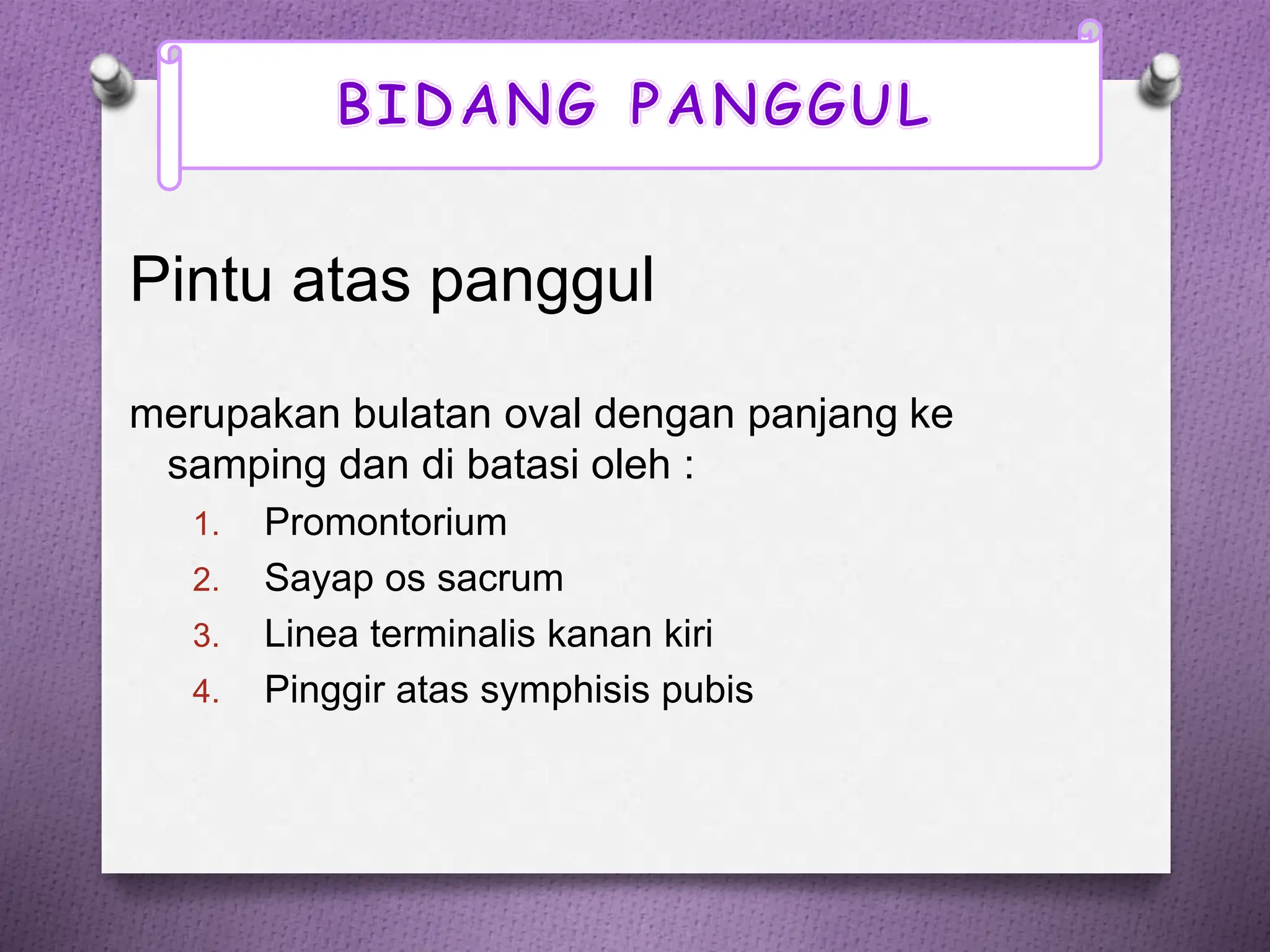 anatomi_Tulang_Panggul_wanita__pptx.pptx