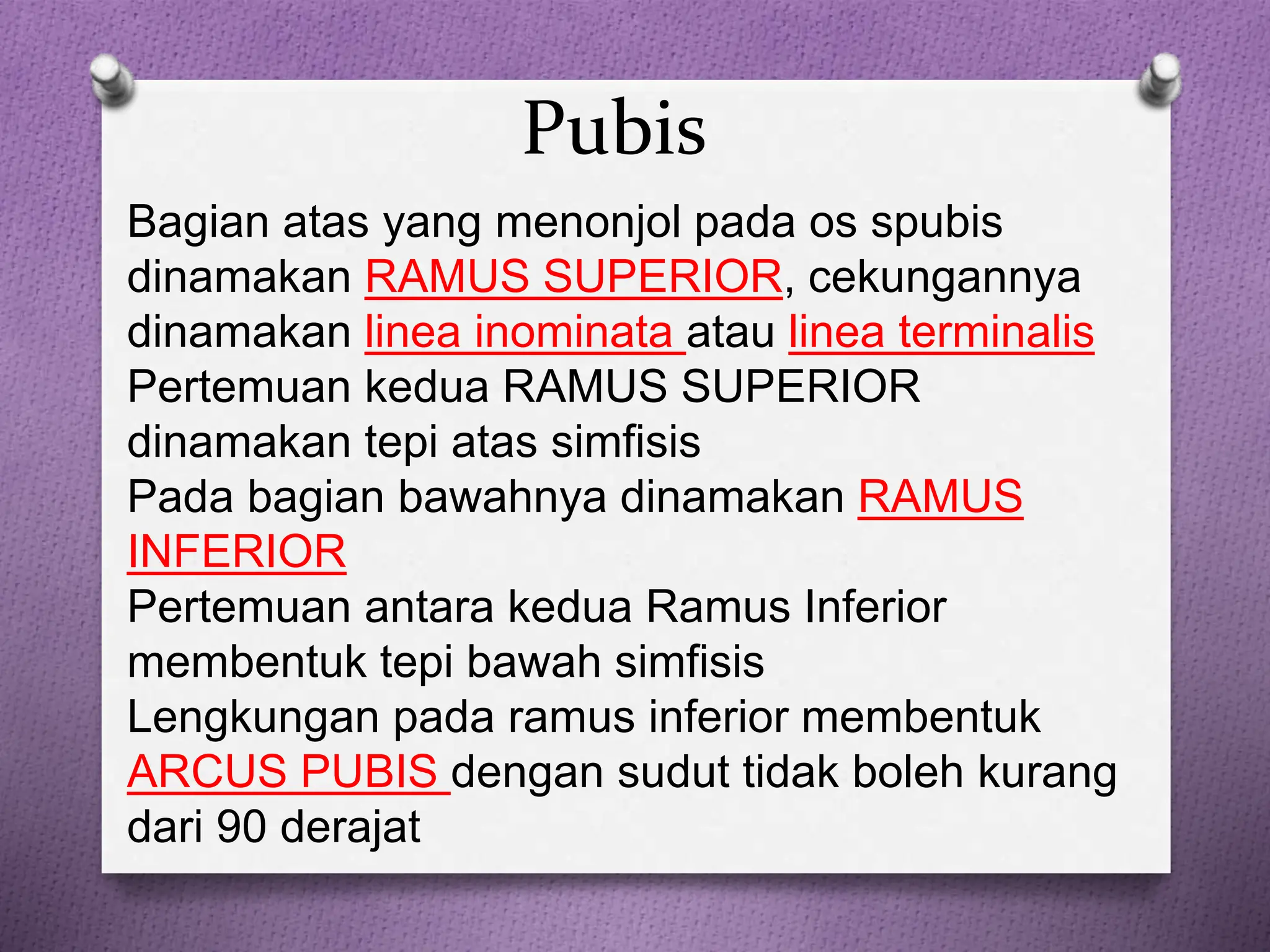 anatomi_Tulang_Panggul_wanita__pptx.pptx