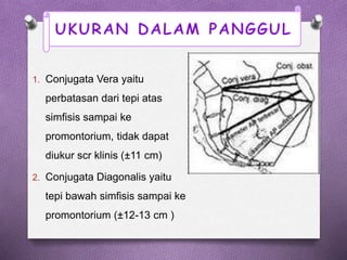 anatomi_Tulang_Panggul_wanita__pptx.pptx