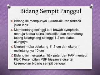 anatomi_Tulang_Panggul_wanita__pptx.pptx