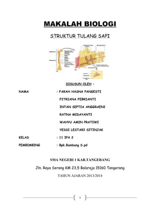 Tulang sapi | DOCX