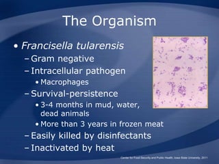 Tularemia.ppt