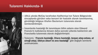 Tularemi özel | PPTX