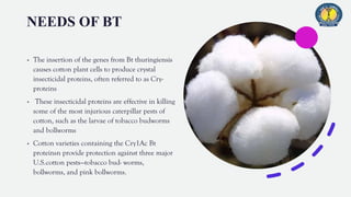 Estimation of BT Gene and BT protein by ELISA and PCR Screening | PPTX