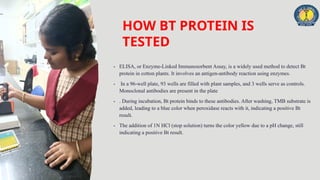 Estimation of BT Gene and BT protein by ELISA and PCR Screening | PPTX