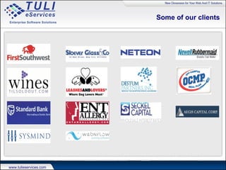 Tuli eServices Dotnet portfolio | PPT