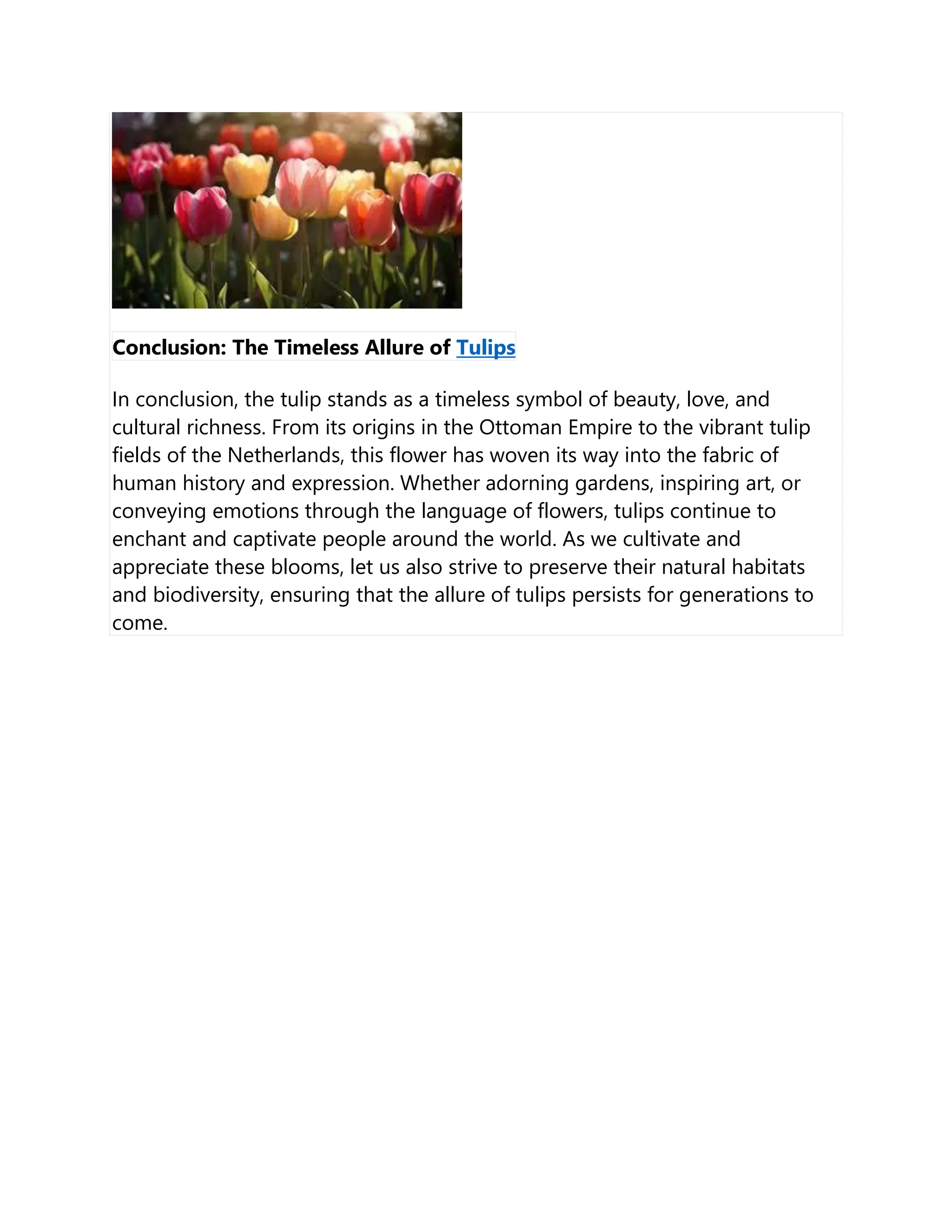 "Blooms of Elegance: Exploring the Timeless Beauty of Tulip Flowers ...