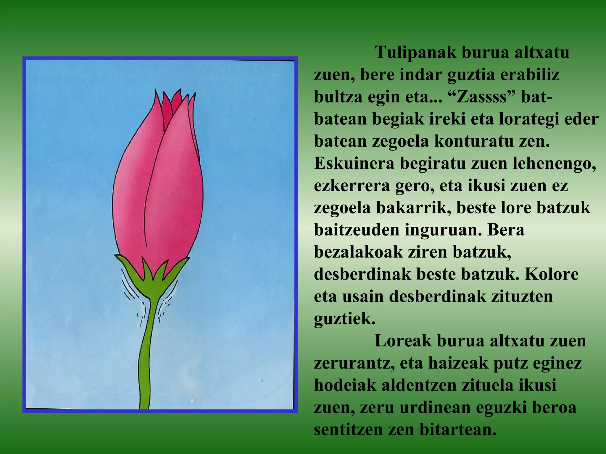 Tulipan txikia3 | PPS