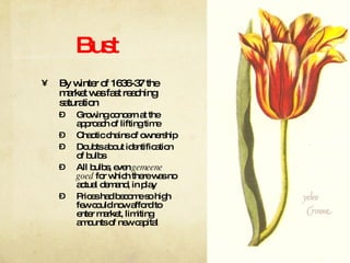 Tulipomania ready | PPS | Gardening | Home & Garden