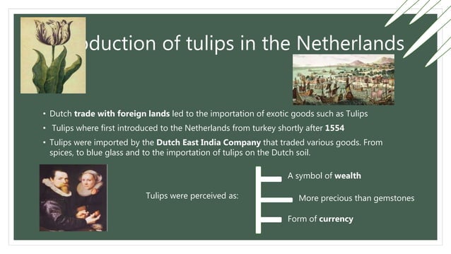 Tulipomania ( The Dutch Bubble) | PPTX | Gardening | Home & Garden