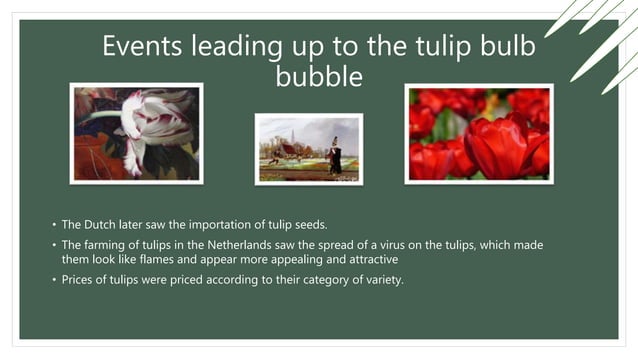 Tulipomania ( The Dutch Bubble) | PPTX | Gardening | Home & Garden