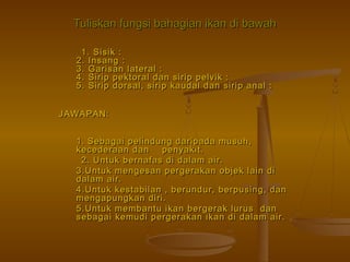 Tuliskan fungsi bahagian ikan di bawah | PPT
