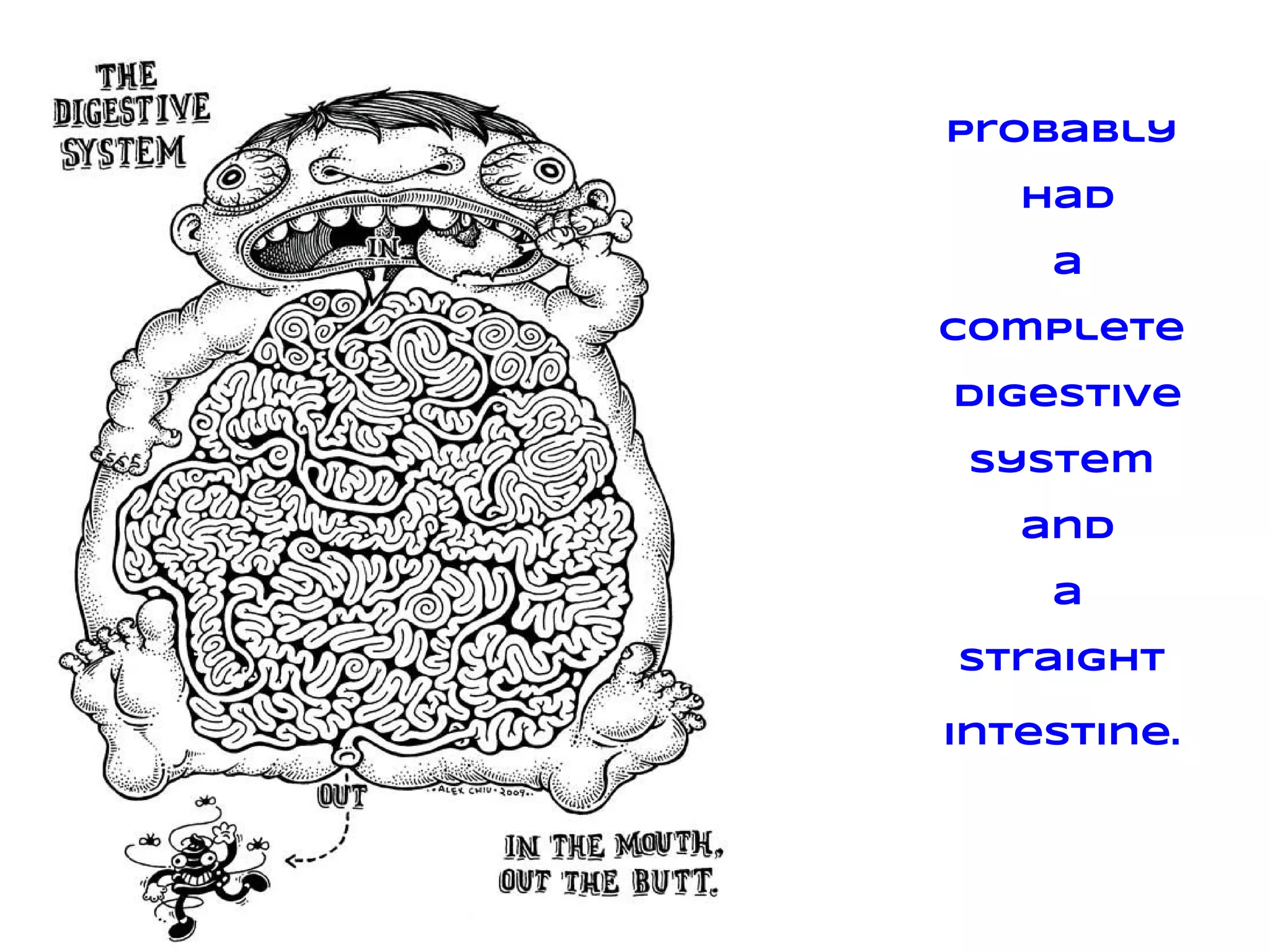 Tully monster classification | PPT