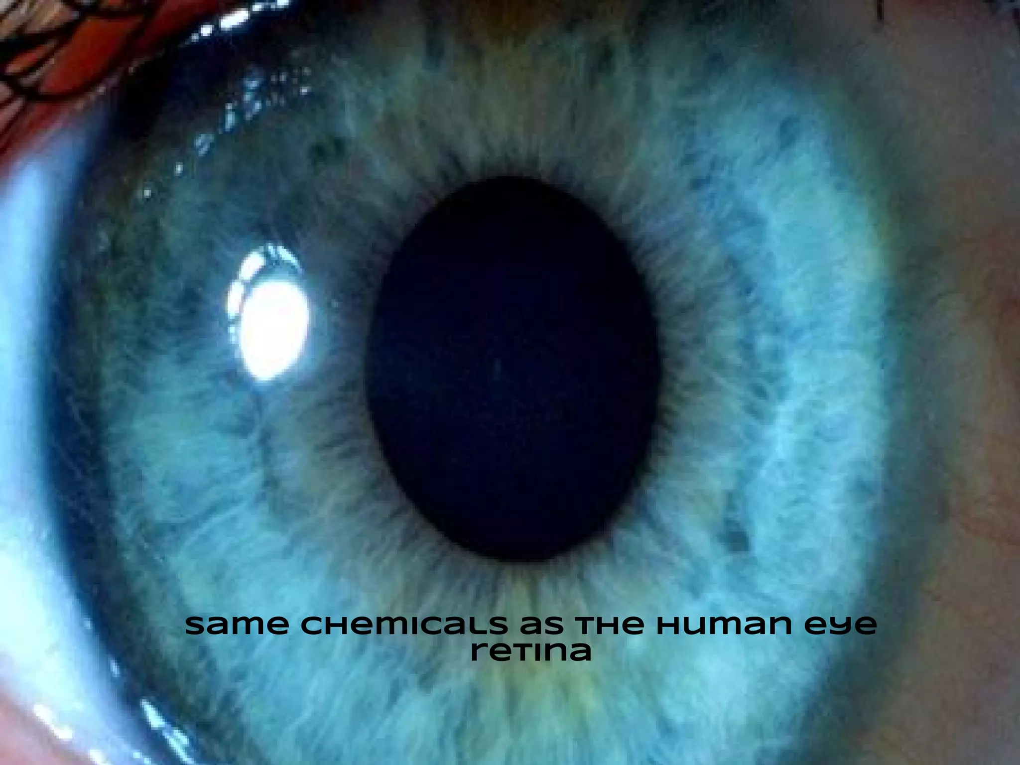 Tully monster classification | PPT