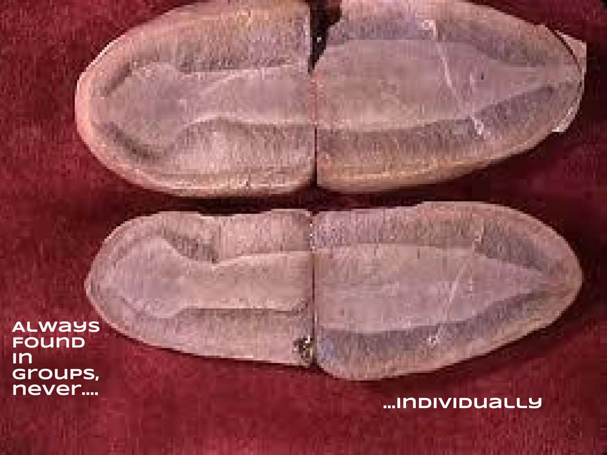 Tully monster classification | PPT