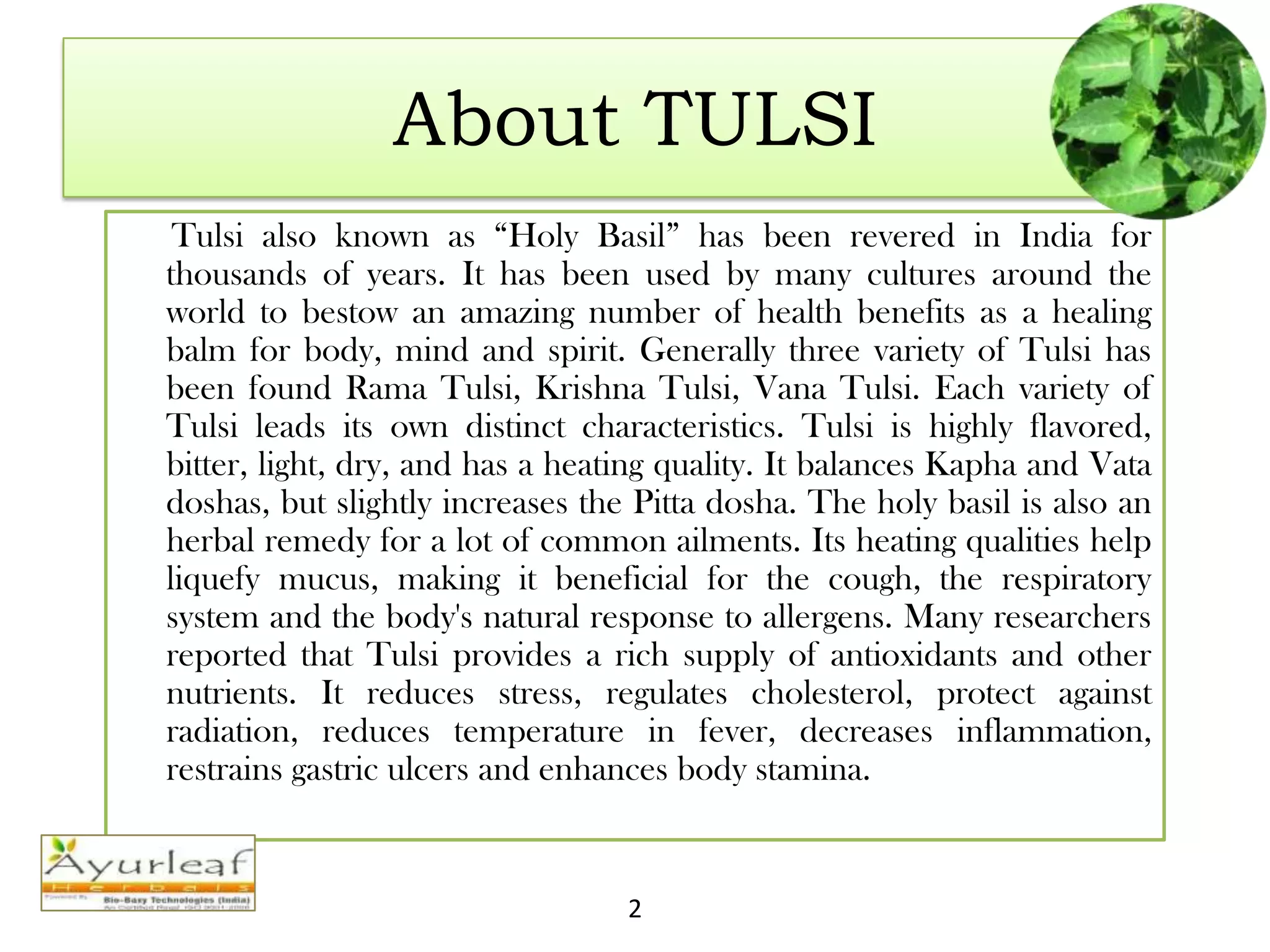 Tulsi | PPTX