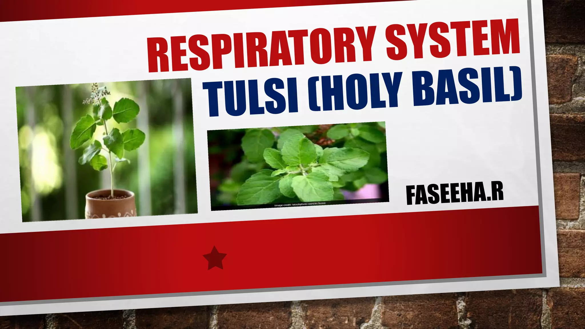 respiratory system - TULSI-( health benefits) | PPTX