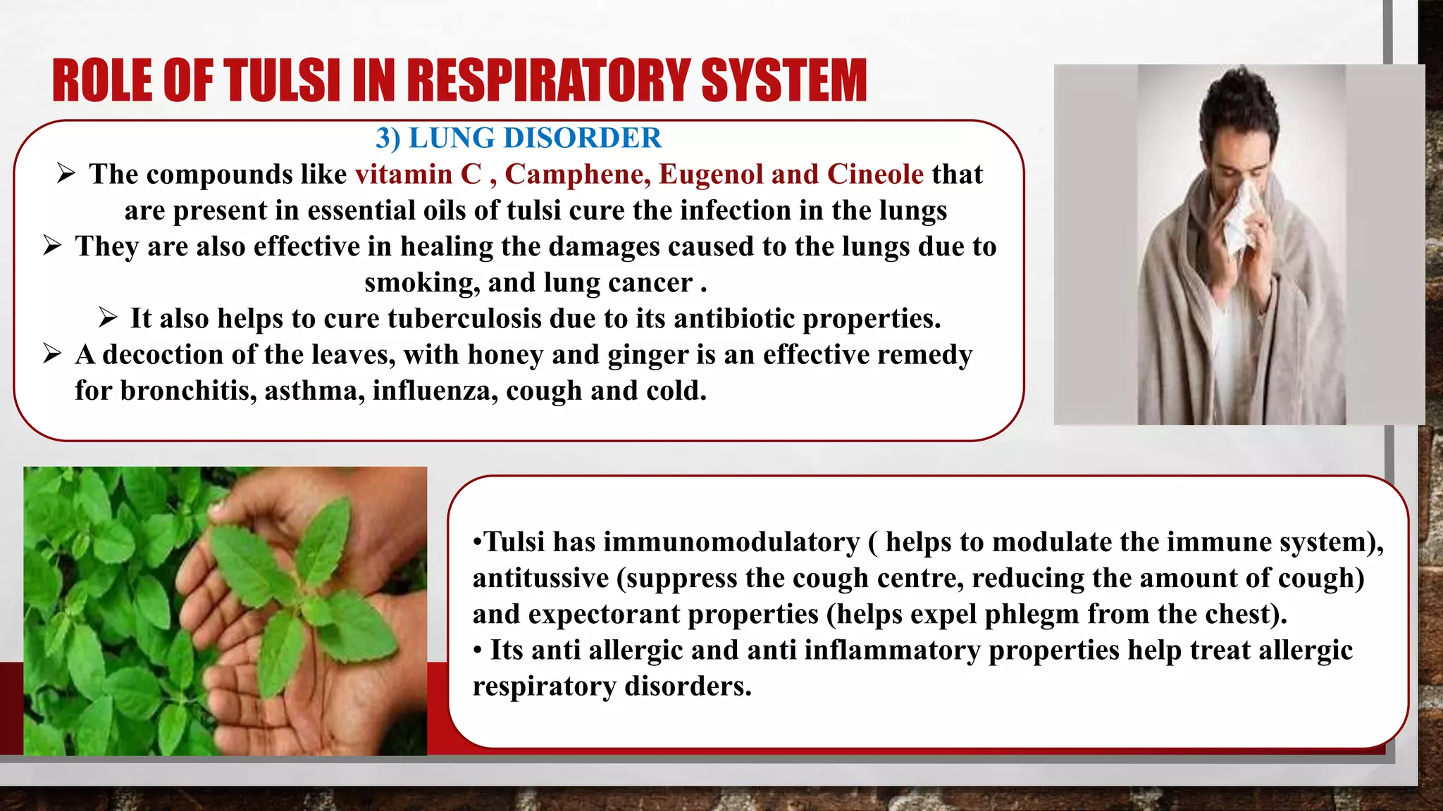 respiratory system - TULSI-( health benefits) | PPT