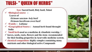 respiratory system - TULSI-( health benefits) | PPTX