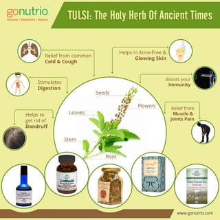 Tulsi - The Holy Herb | PDF | Skin and Dermatology | Diseases and ...