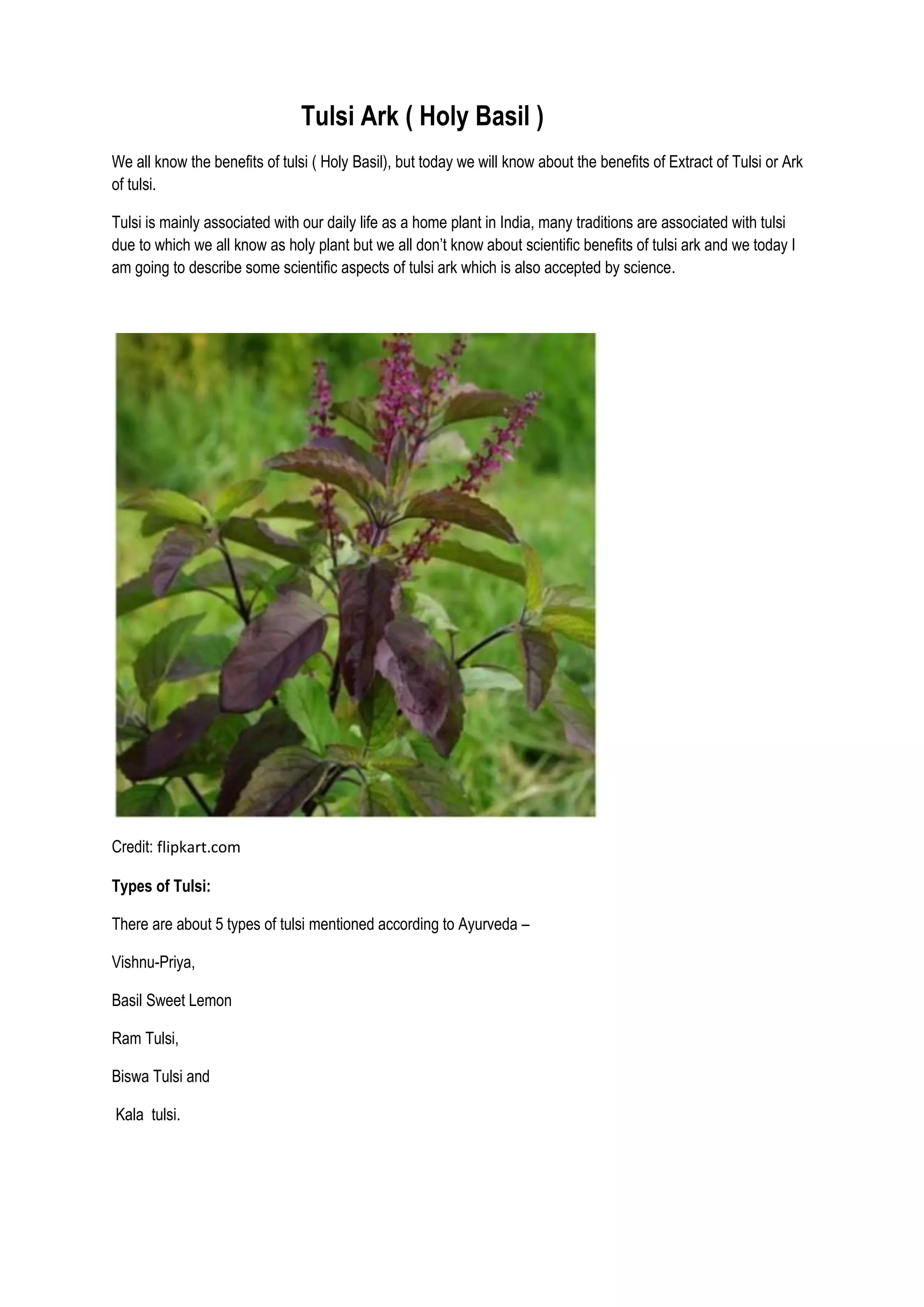 TULSI ARK -DECOCTION OF HOLY BASIL | PDF