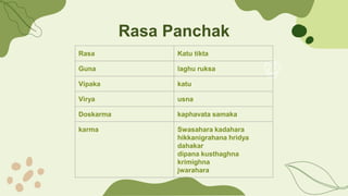 Tulsi drug ayurvedic medicine ocimum sativum | PPTX