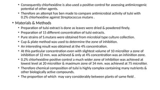 tulsi article informative presentation.pptx