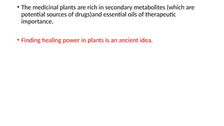tulsi article informative presentation.pptx