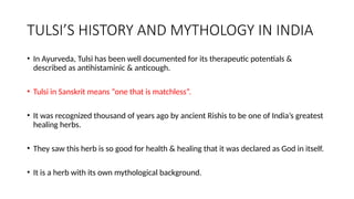 tulsi article informative presentation.pptx