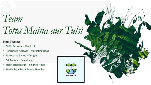 Tulsi presentation.pptx