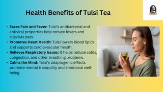 Tulsi Tea Benefits, Side Effects, and Dosage | PDF
