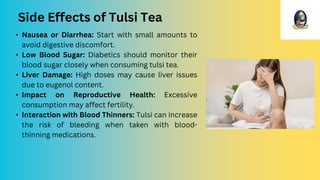 Tulsi Tea Benefits, Side Effects, and Dosage | PDF
