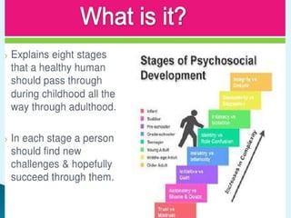 Stages of Development | PPT