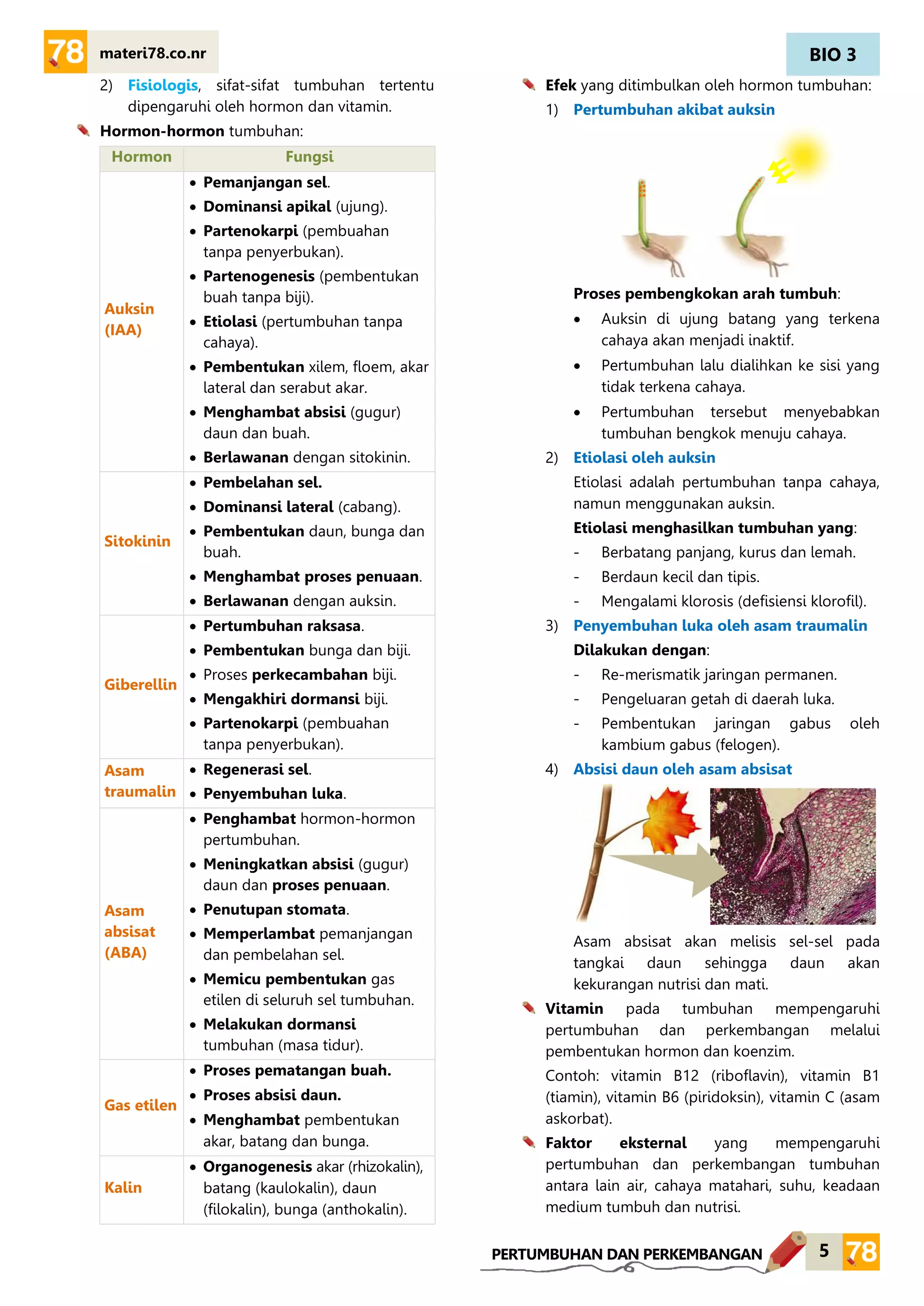 materi pertumbuhan dan perkembangan tumbuhan | PDF