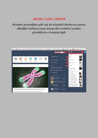 Tumblr nasıl kullanılır ? | PDF