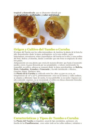 Tumbo o curuba informacion | DOCX