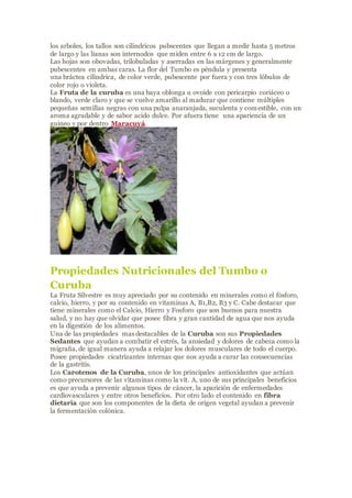 Tumbo o curuba informacion | DOCX