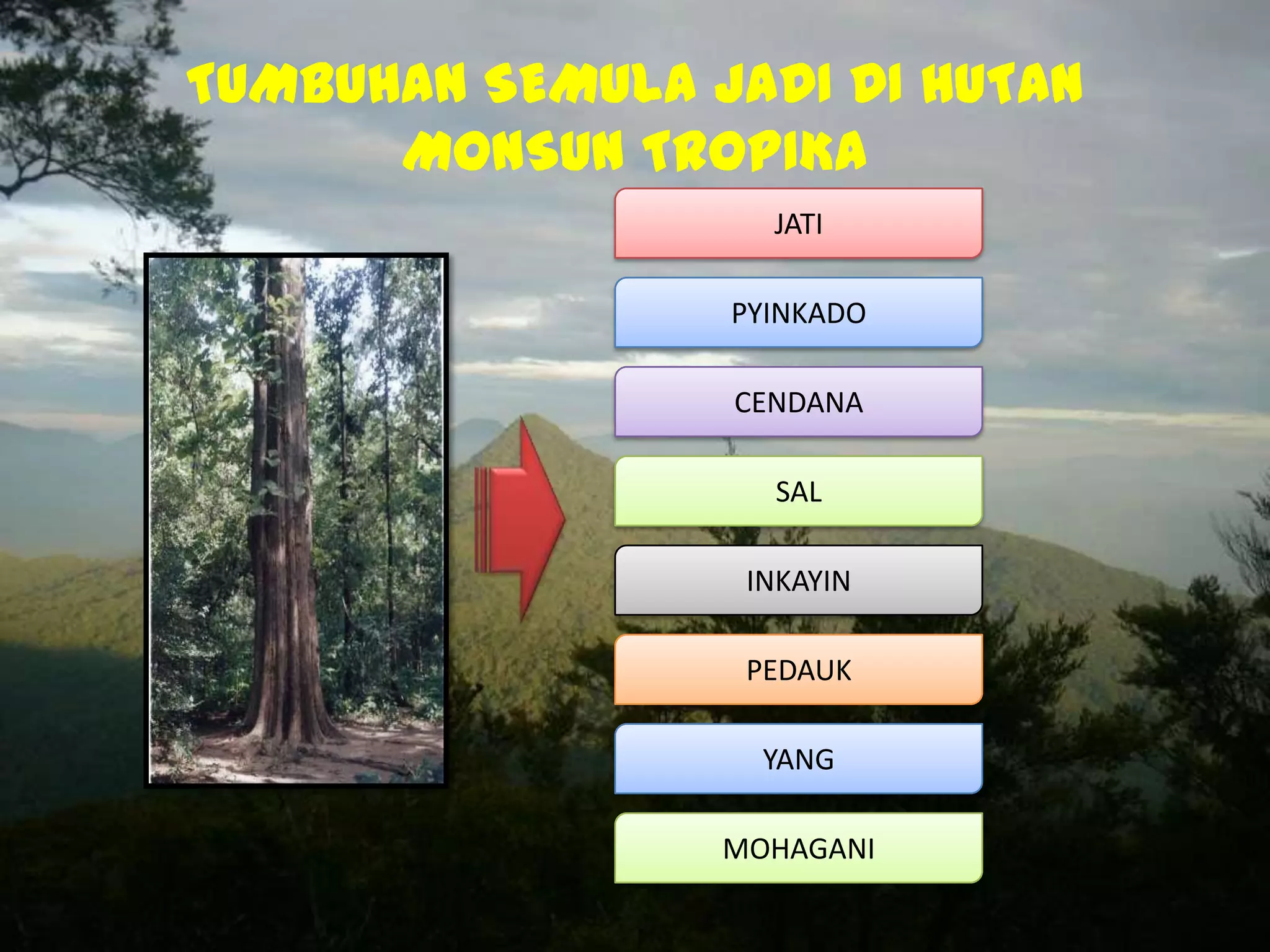 Tumbuh tumbuhan & hidupan liar di negara-negara lain | PPTX