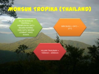 Tumbuh tumbuhan & hidupan liar di negara-negara lain | PPTX