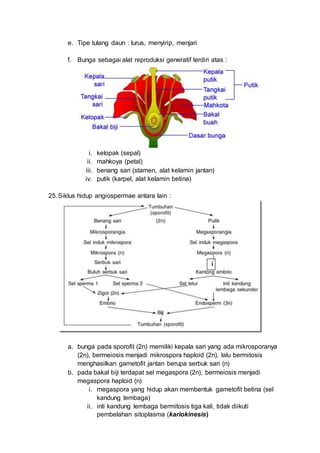 KINGDOM PLANTAE | DOCX
