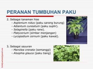 klasifikasi makhluk hidup tumbuhan-paku.ppt