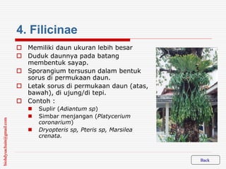 klasifikasi makhluk hidup tumbuhan-paku.ppt