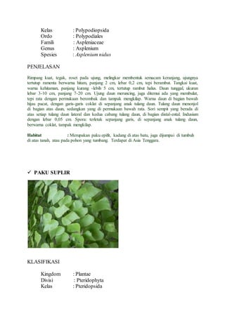 Tumbuhan paku dan lumut | DOCX